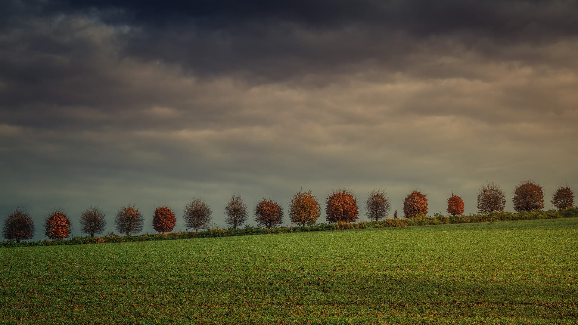 Could this core leadership issue be plaguing you?